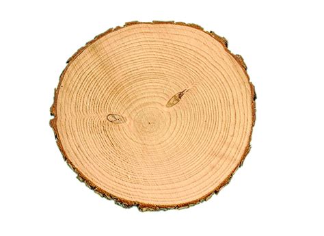 10 Inch Wood Slice Rustic Wood Slices