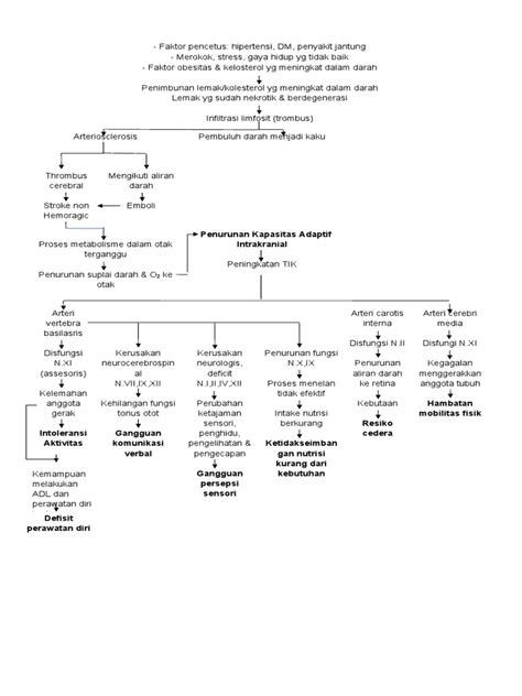 Pathway Cva Emboli Pdf