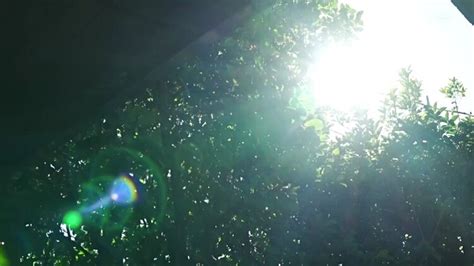 Forumophilia Porn Forum Japanese Porn Asian And Chinese Jav