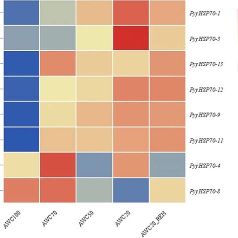 Heatmap Of The Expression Patterns Of PyyHSP70 Genes Under Dehydration