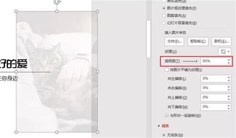 Ppt怎么做图片虚化背景 Ppt图片虚化背景怎么弄 正数办公
