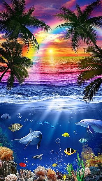 Sunset Wallpaper With Dolphins