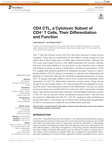 Cd4 Ctl A Cytotoxic Subset Of Cd4 T Cells Their Differentiation And