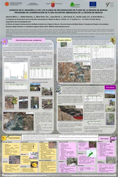 Pdf Avances En El Desarrollo De Los Planes De Recuperación De Flora De La Región De Murcia