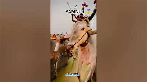 Yamnur Jatre Top🥇 🔥 Hublidharwad Bullockcartvideos Bullockrace Trending Viral