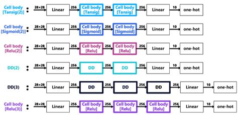 树突网络dendrite Net树突神经网络 Csdn博客