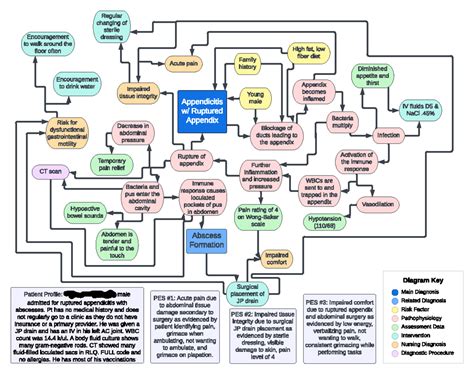 Peds Pathodiagram Appendicitis W Ruptured Appendix Blockage Of Ducts