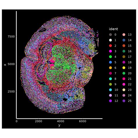 Analysis Of Image Based Spatial Data In Seurat • Seurat