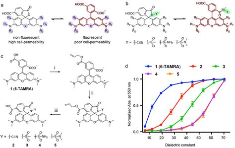 Design Strategies For Developing Cell Permeable Fluorophores A Download Scientific Diagram