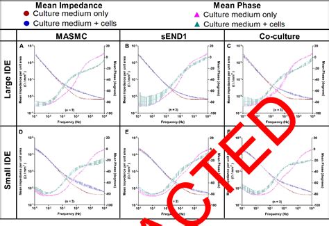 Figure 4 From Characterising Vascular Cell Monolayers Using