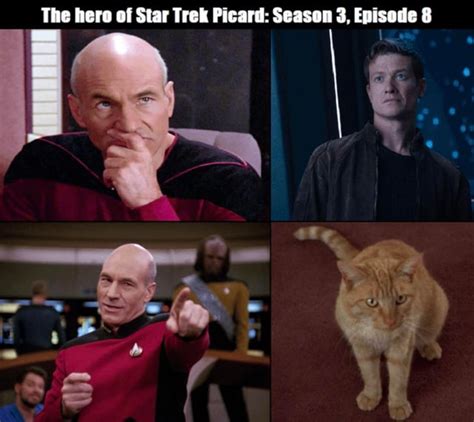 Felis Catus Is Your Taxonomic Nomenclature An Endothermic Quadruped Kicking Ass By Nature R