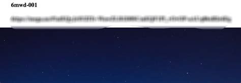 6mwd 001