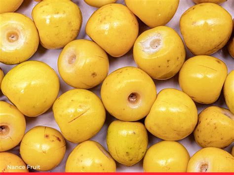 13 Fruits That Start With N Chefs Pencil