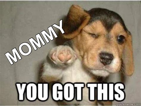 You Got This Dog Meme Generator Piñata Farms The Best Meme