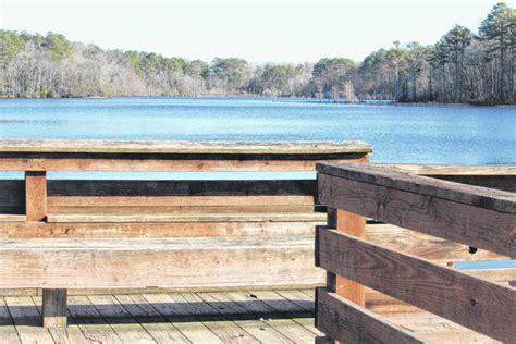 Hinson Lake The Hidden Jewel Nestled In The City Of Rockingham