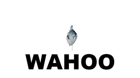 Wahoo S Download And Share