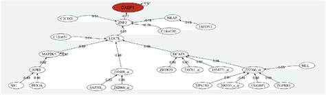 Disease Dataset Correlation Tree For Als Obtained Using The First 30