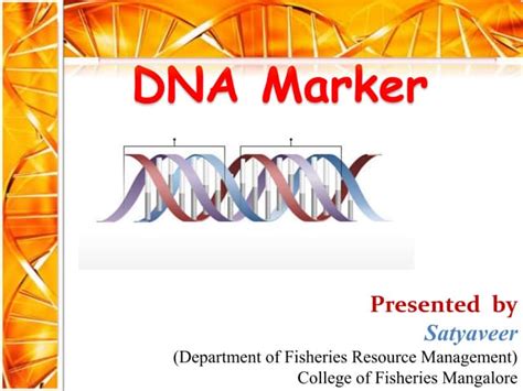 Dna Marker Pptx