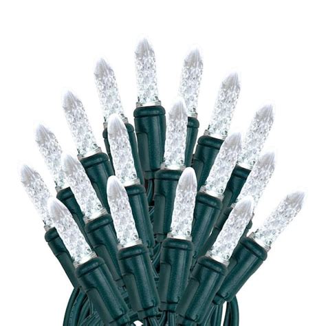 M5 50 Light 25 Ft Pure White Indoor Outdoor Integrated Led Globe String Light