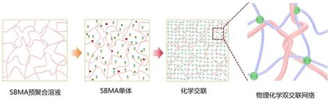 一种物理化学双交联增强的纯两性离子水凝胶材料及其在生物医学领域的应用