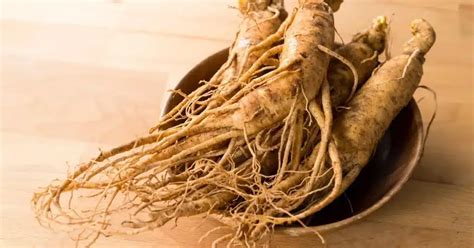 How To Increase Sex Drive During Menopause Rediscovering Intimacy