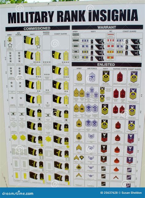 Armed Forces Ranks At Susan Burke Blog