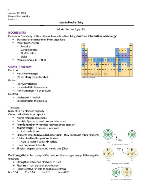 01 Intro To Biochem Hthsci 1ll3 1 January 12 2020 Human