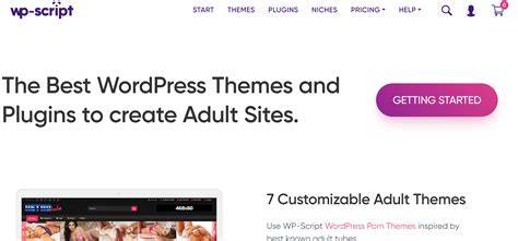 The 7 Best Adult Tube Scripts According To Experts