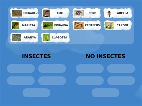 Agafa Els Insectes Group Sort