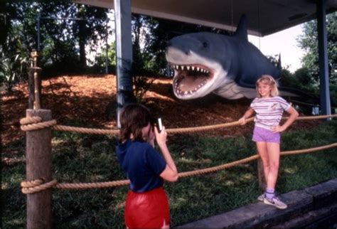 Jaws 3d Blog Archive Bruce Iii « Seaworld Orlando 2 2
