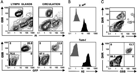 Generic Methods For Facs Based Hemocyte Detection A Live Hemocytes