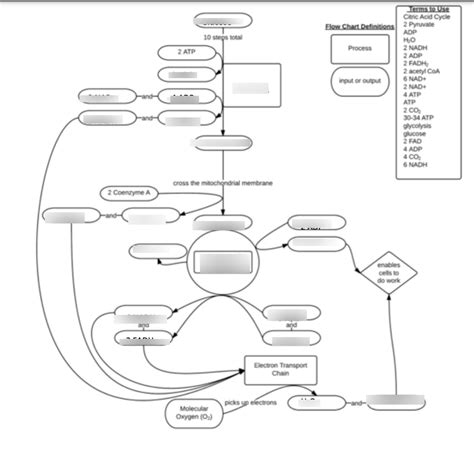 Cellular Respiration Flow Chart Diagram Quizlet