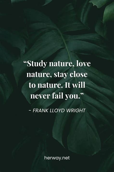 83 Nature Healing Quotes To Inspire You To Spend More Time Outdoors