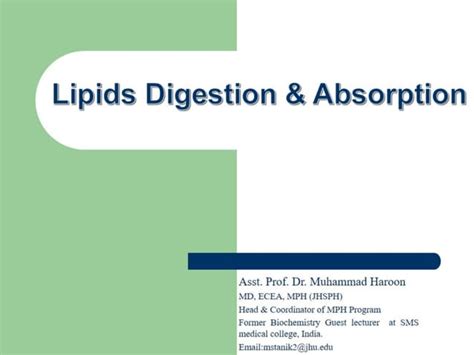 Digestion And Absorption Of Lipids Biochemistry PDF Biological Sciences Science