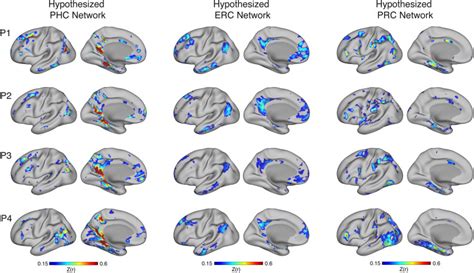 Dissociating Distinct Cortical Networks Associated With Subregions Of The Human Medial Temporal