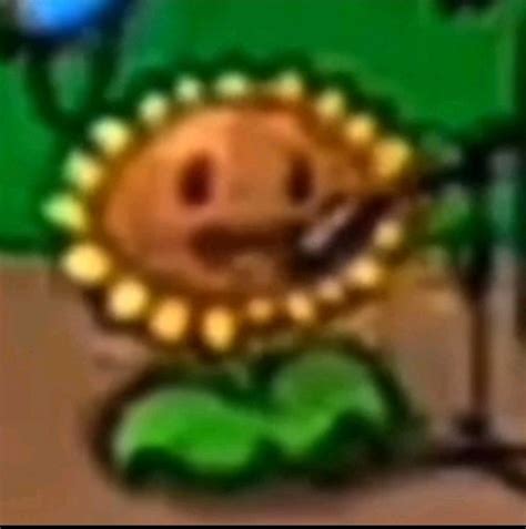 Create Meme Nicotine Pictures Meme