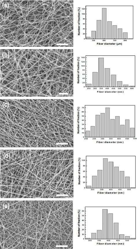 Figure 3 From Electrospun Polyl Lactic Acidgelatin Hybrid Polymer As A Barrier To Periodontal