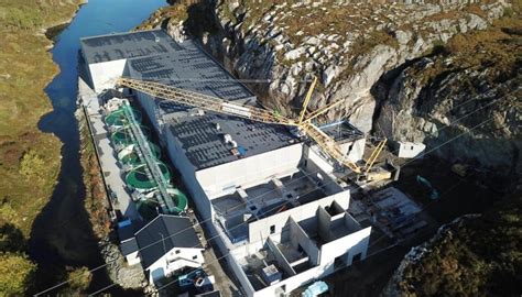 Omsetningsvekst For Vikan Settefisk