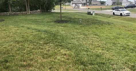 Patchy Album On Imgur