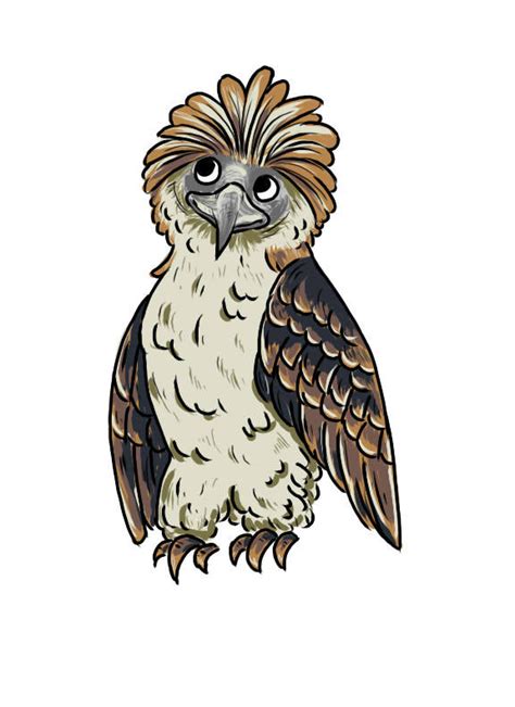Chibi Philippine Eagle By Jeleighace On Deviantart