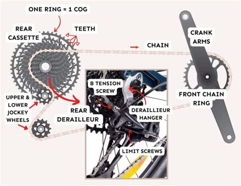 Bike Anatomy A Complete Glossary Diagrams Two Wheeled Wanderer