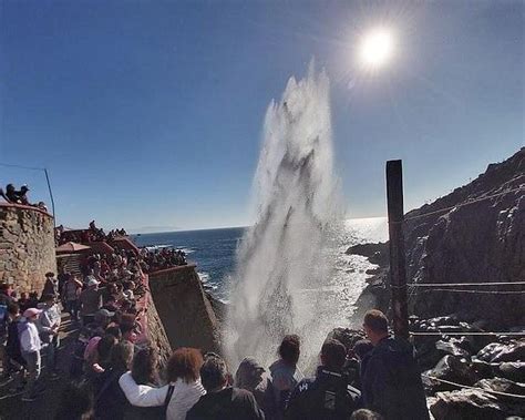 The Bufadora Private Tour With Prices
