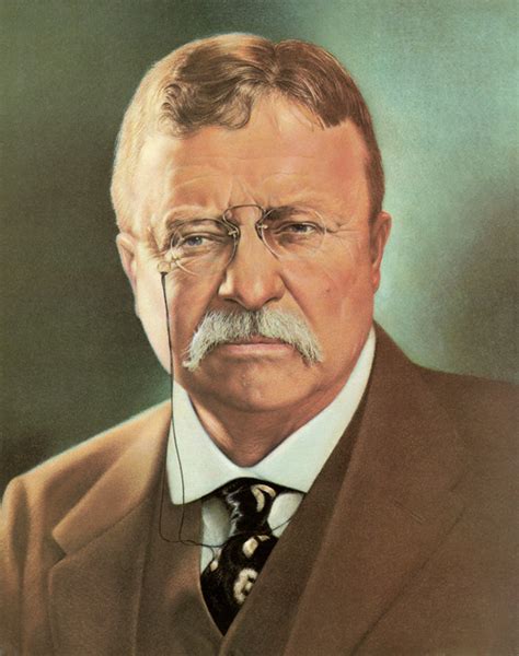 Theodore Roosevelt Portrait The Inside Story On Theodore Roosevelts