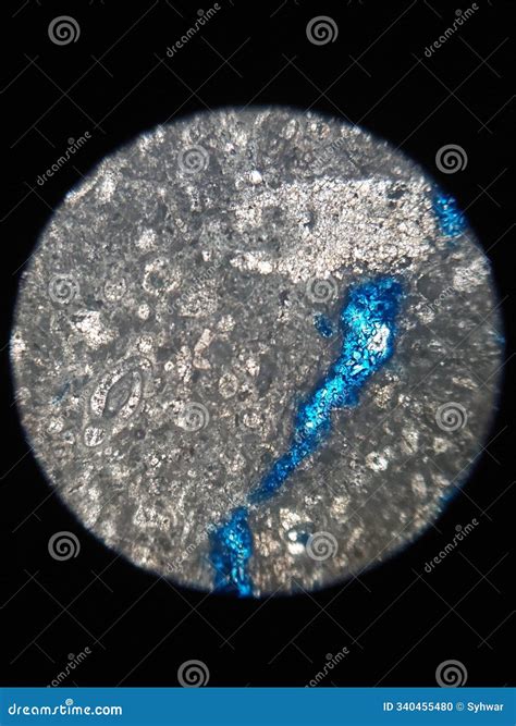 Thin Section Of Quartz Crystals Under The Microscope Royalty Free Stock