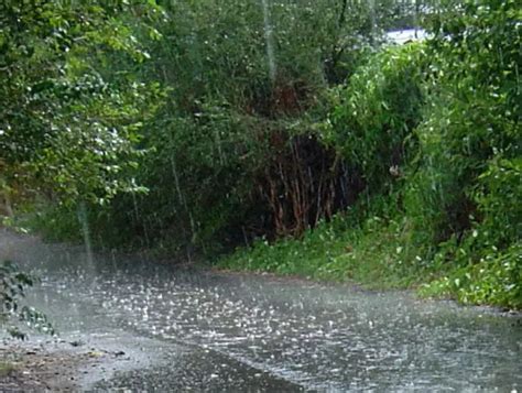 Environments Pack 1 Audio Ambient Unity Asset Store