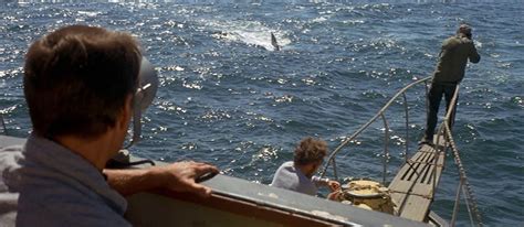 Jack Kost Jaws 1975 The Thing About A Shark