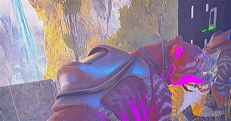 Thylo Album On Imgur