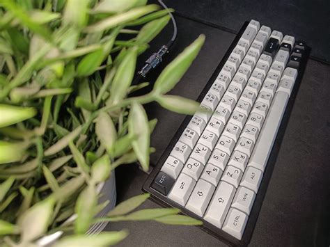 First Build Kbd67 Lite R Mkindia