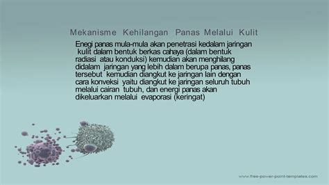 Anatomi Dan Fisiologi Kulit Epitelium Dan Subcutis Ppt