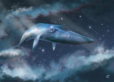 Whale In The Sky